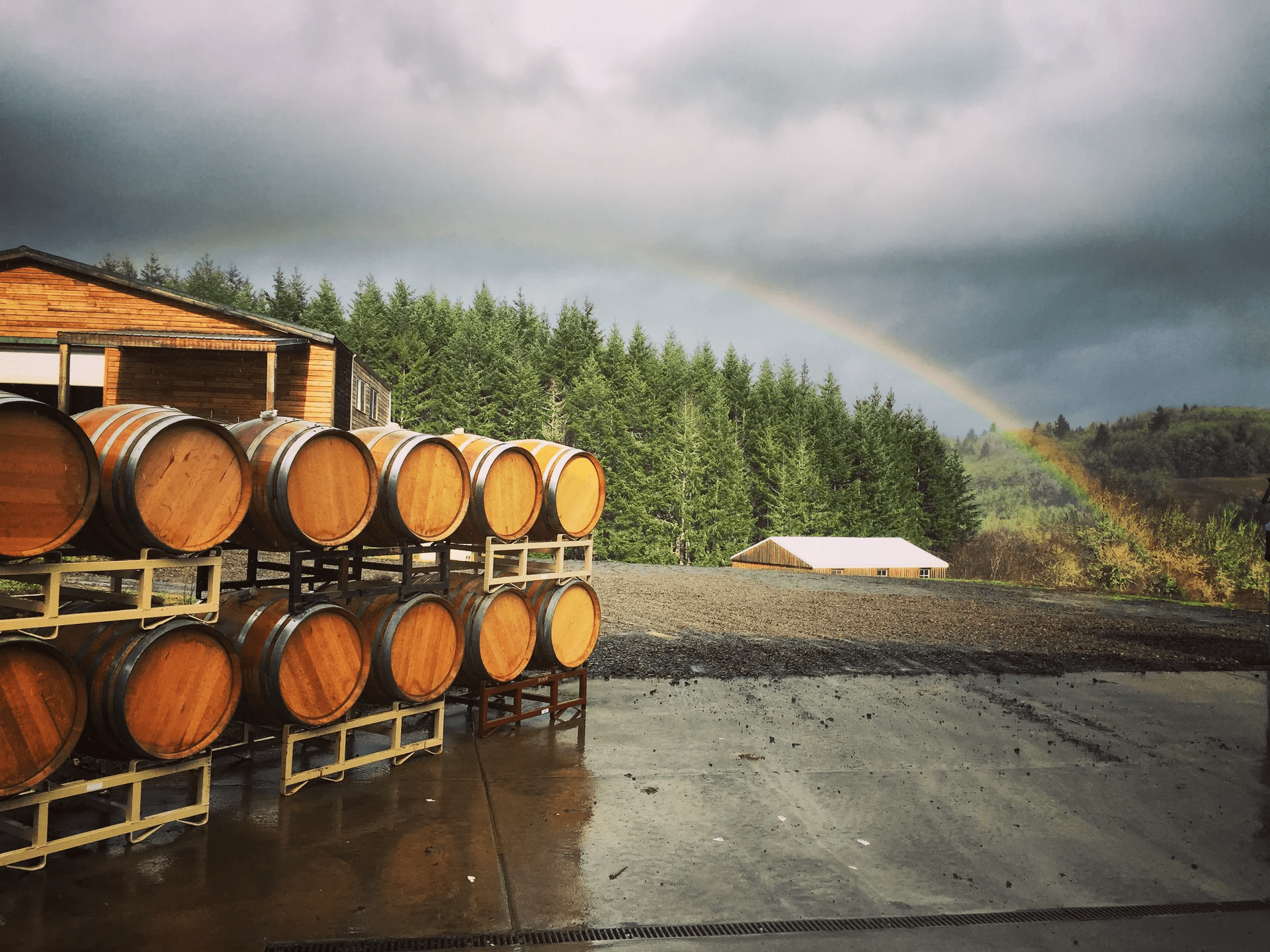 T. Henry Ransom Whiskies | Colonial Spirits